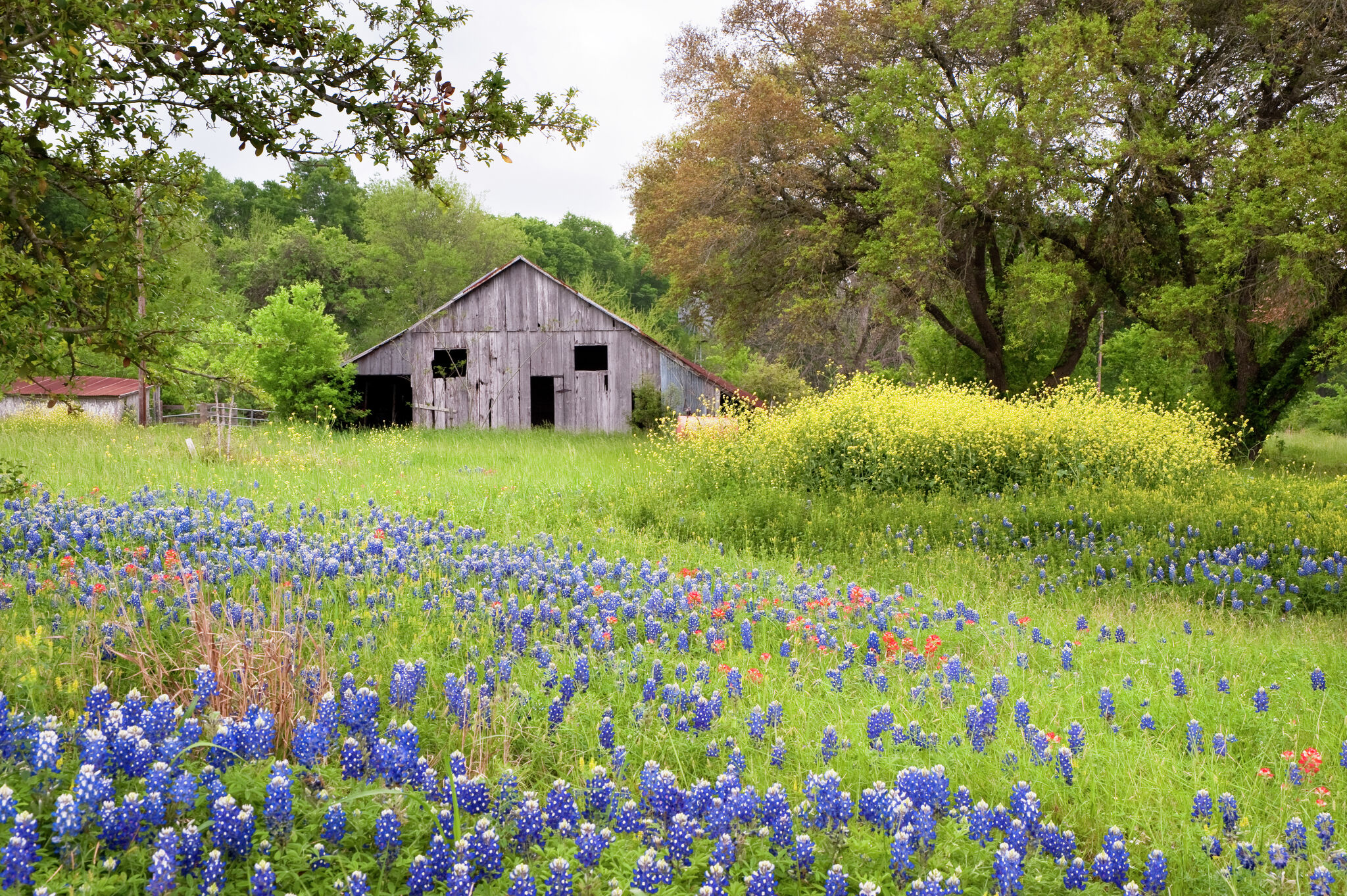 A visitor's guide to Texas Hill Country
