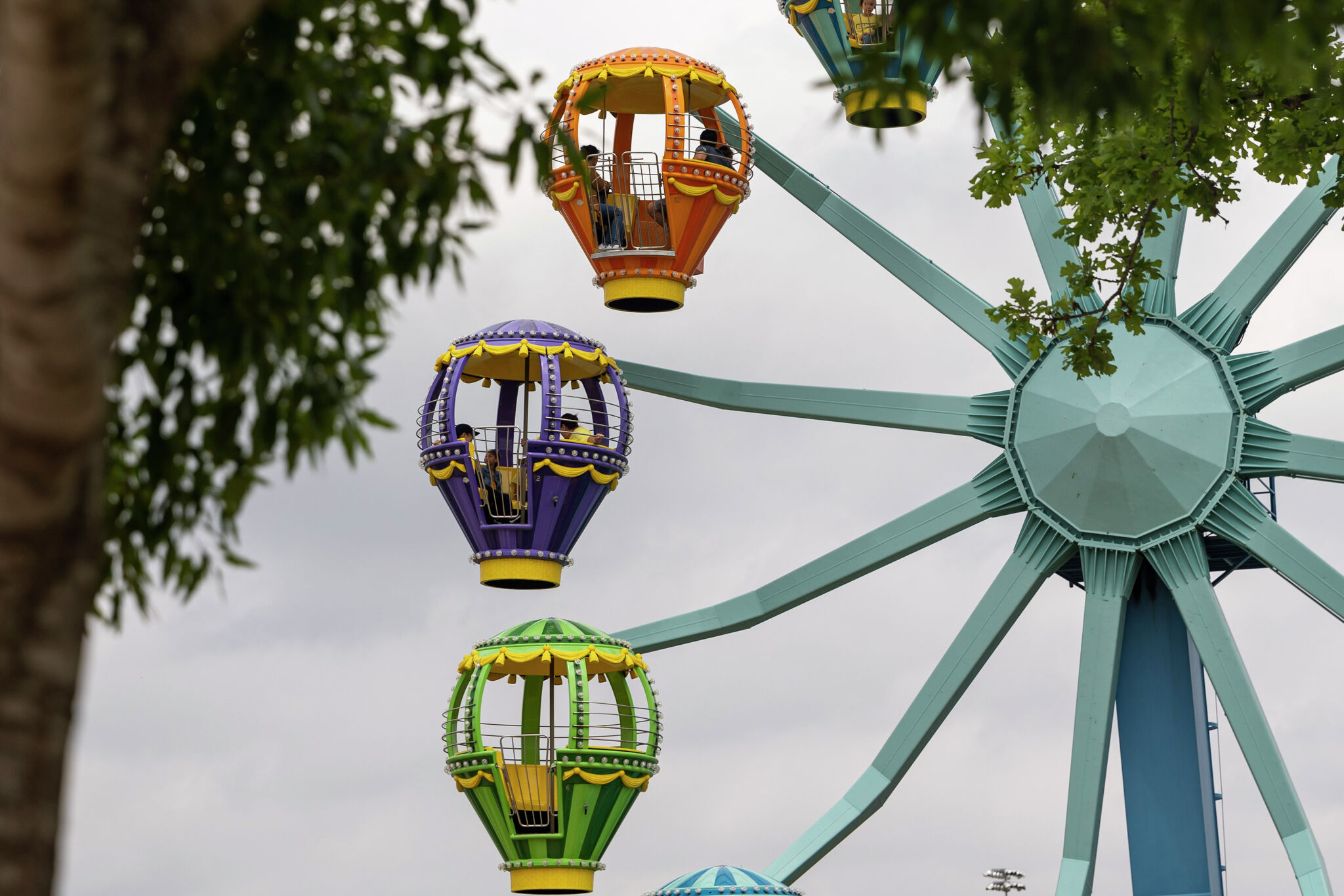 Morgan's Wonderland to undergo $6 million expansion