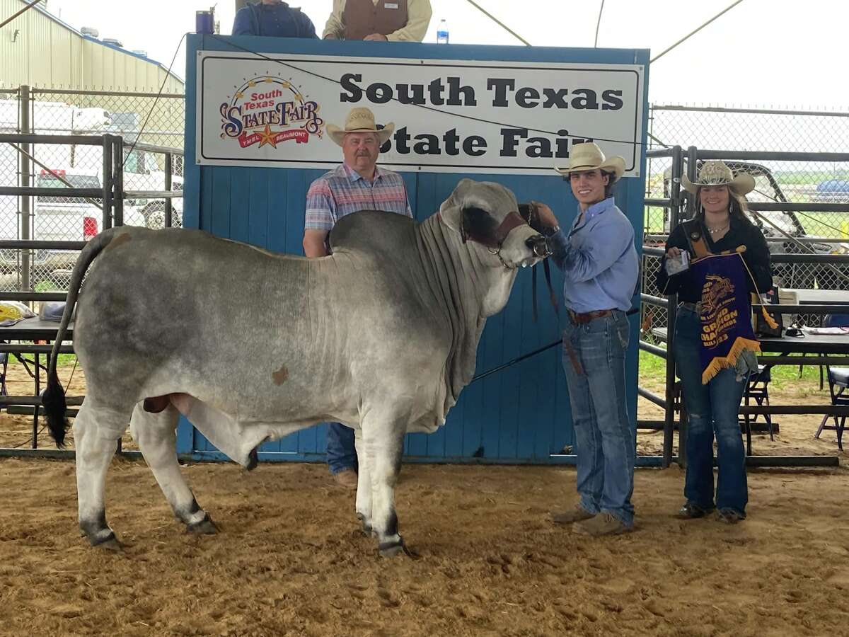 Reporter's notebook: South Texas State Fair spotlights local students