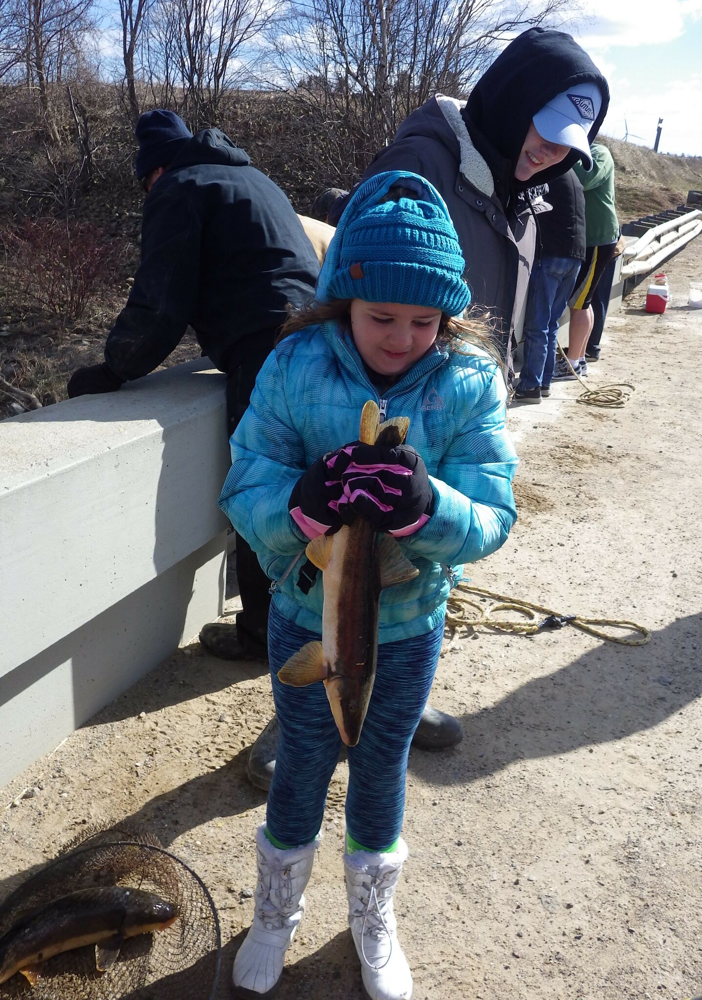 Have you gone spring sucker fishing?