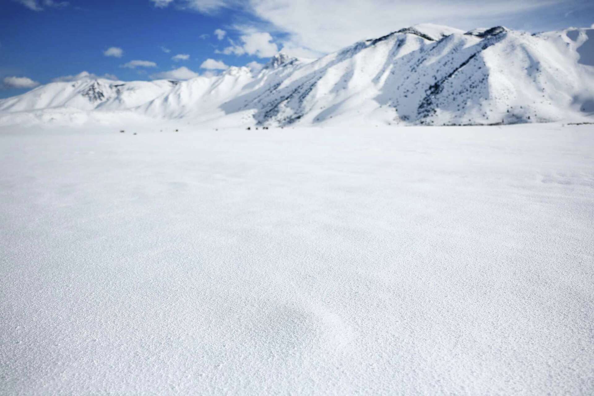 California’s booming snowpack ties 70-year record in key April survey