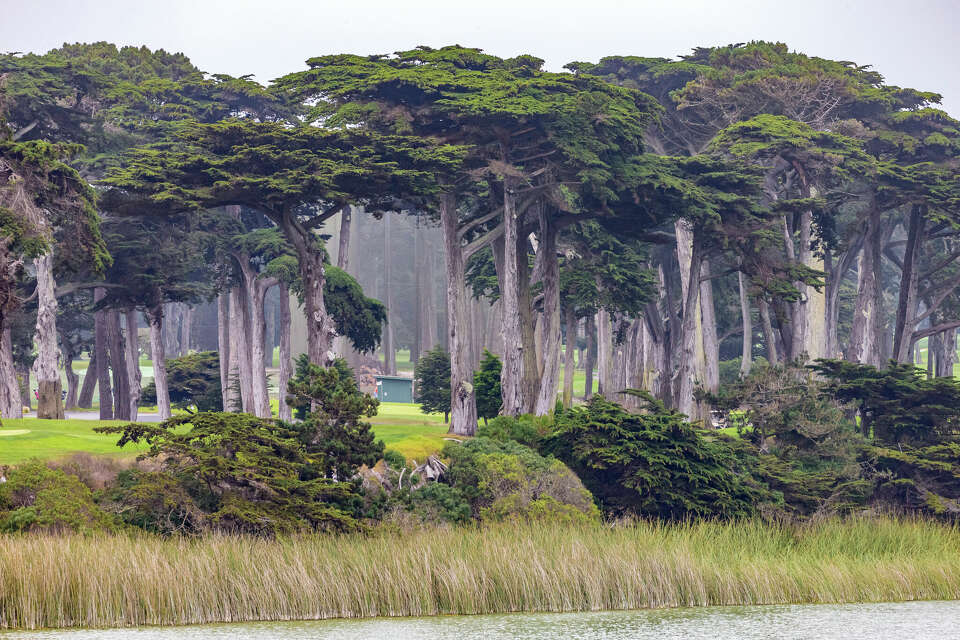 Everything to know about Lake Merced, a beloved SF spot