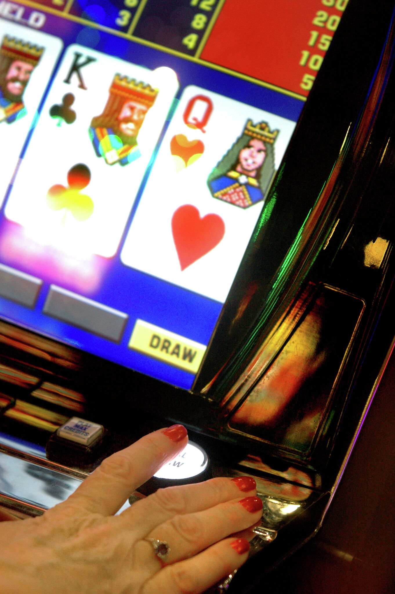 Cindy Schultz photos