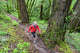 Dipsea Trail: All to know about this famous Bay Area trail