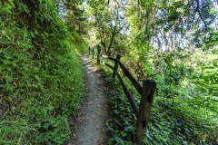 Dipsea Trail: All to know about this famous Bay Area trail