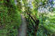 Dipsea Trail: All to know about this famous Bay Area trail