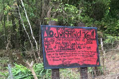 Why you shouldn't drive the Road to Hana in Hawaii