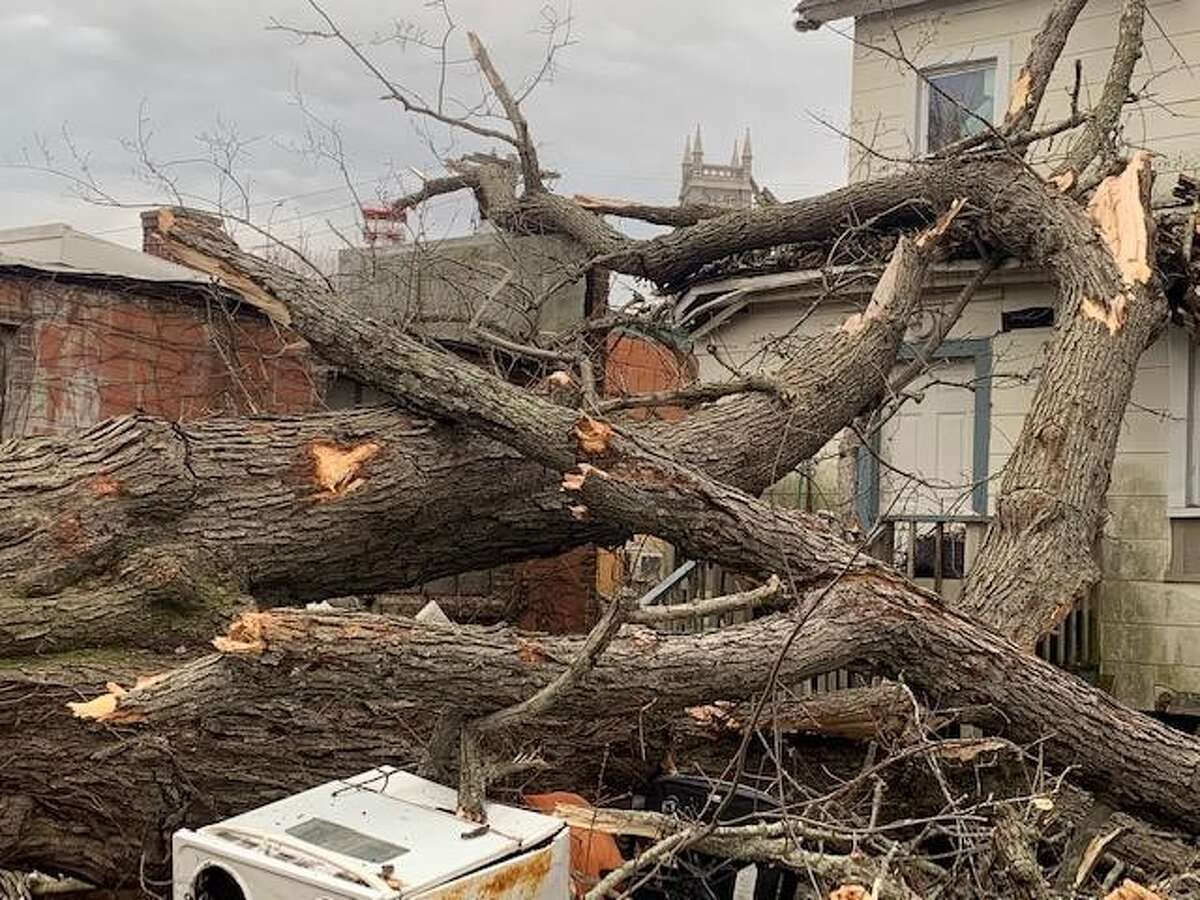 New London firefighters rescue residents after tree falls on home