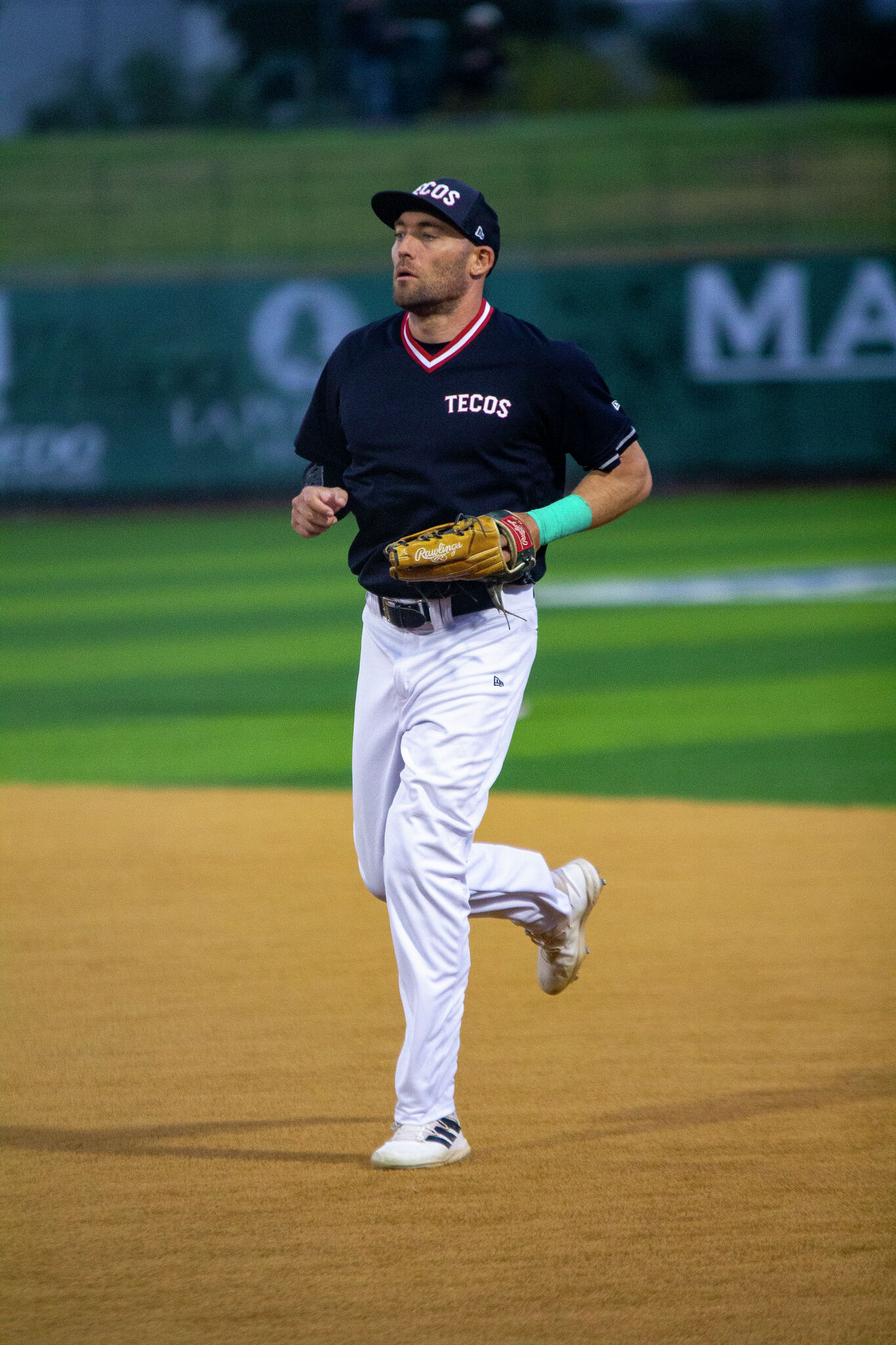 Mexican League suspends Tecos' Gotta