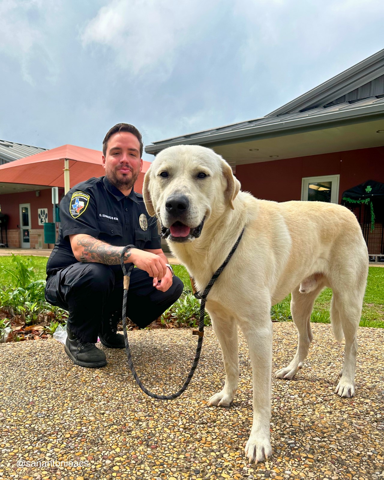 Dog stuck on train tracks saved by San Antonio Animal Care Services