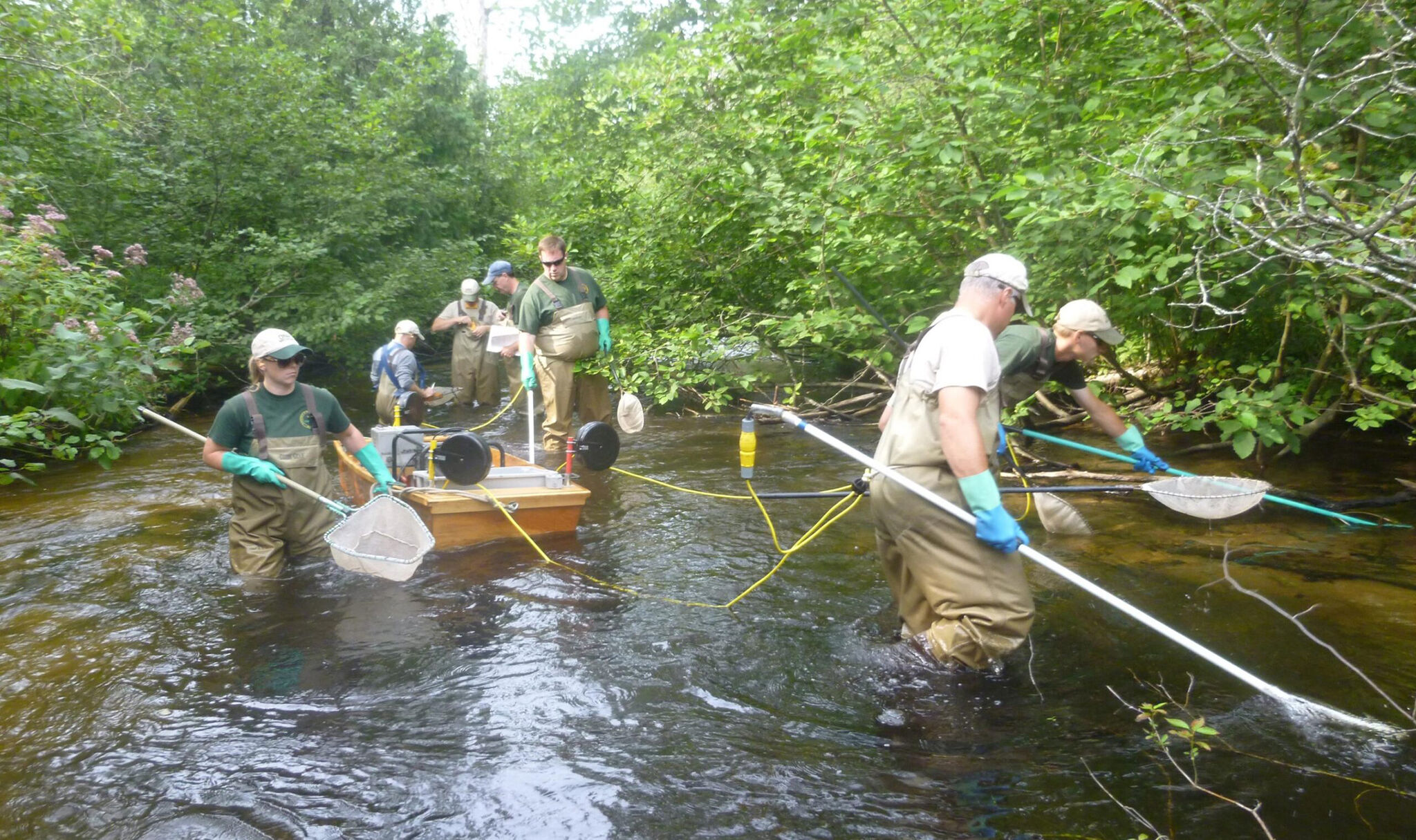Michigan DNR uses electrofishing equipment for surveys