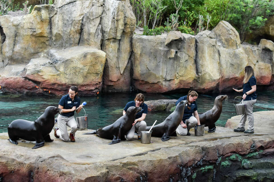 Houston Zoo opens first-of-its-kind Galápagos Islands exhibit