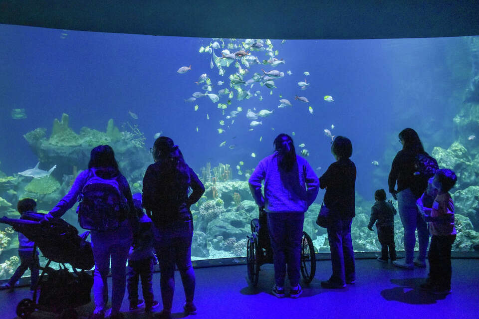 Houston Zoo opens first-of-its-kind Galápagos Islands exhibit