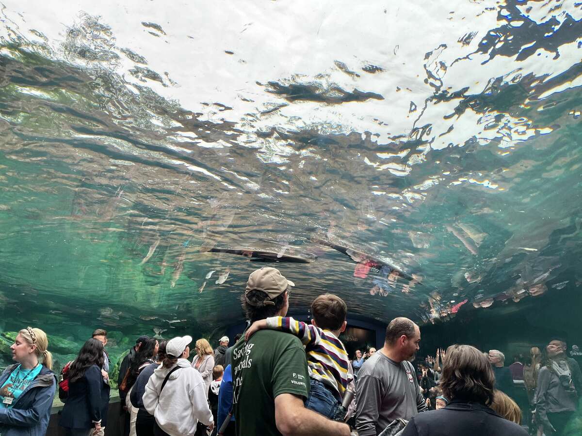 Houston Zoo opens first-of-its-kind Galápagos Islands exhibit