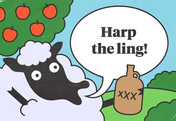 Anderson Valley is the affordable California wine alternative to Napa