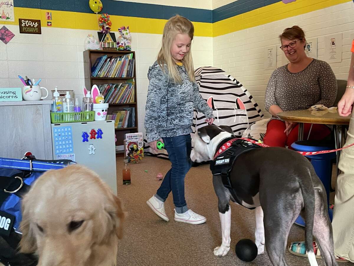 Evart Elementary School welcomes two new therapy dogs