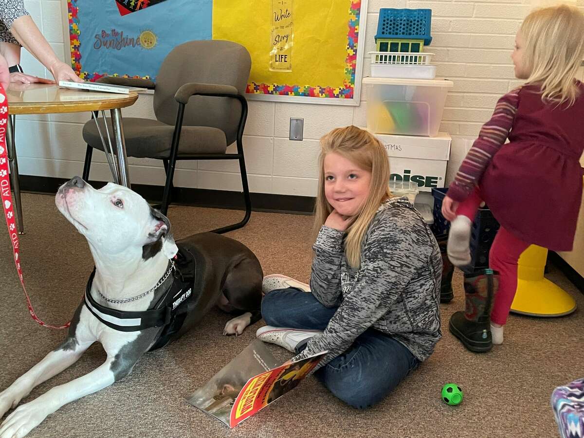 Evart Elementary School welcomes two new therapy dogs