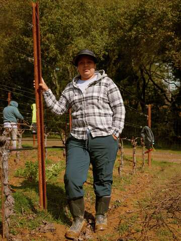 Wendling Vineyard in Anderson Valley has a rare, all-female crew