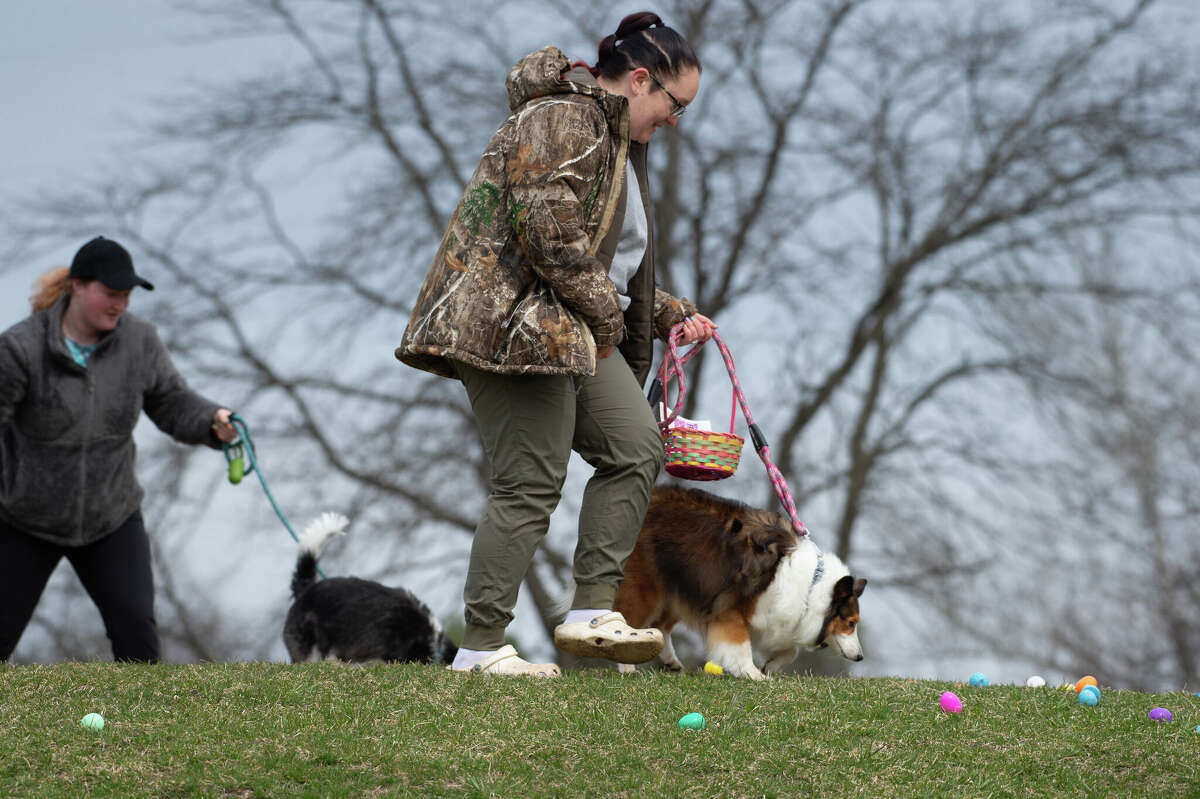 Midland dogs search for Easter eggs during Soldan's Pet Supplies event