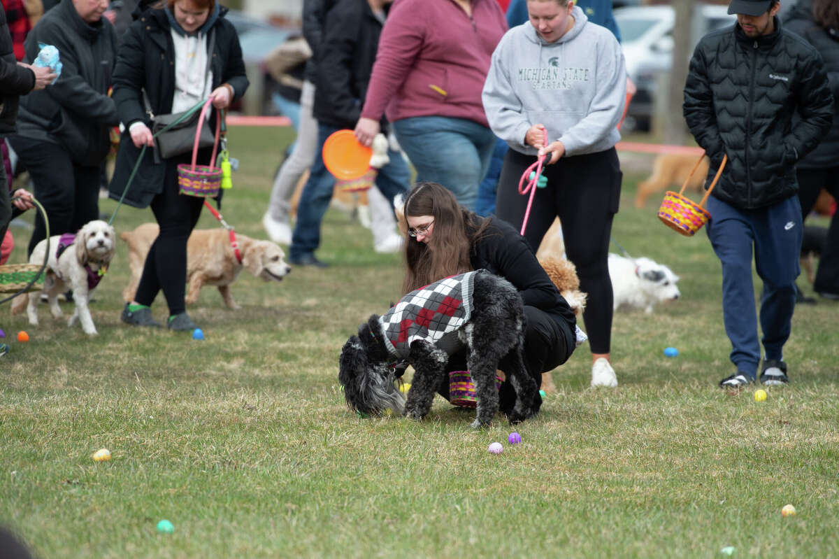 Midland dogs search for Easter eggs during Soldan's Pet Supplies event