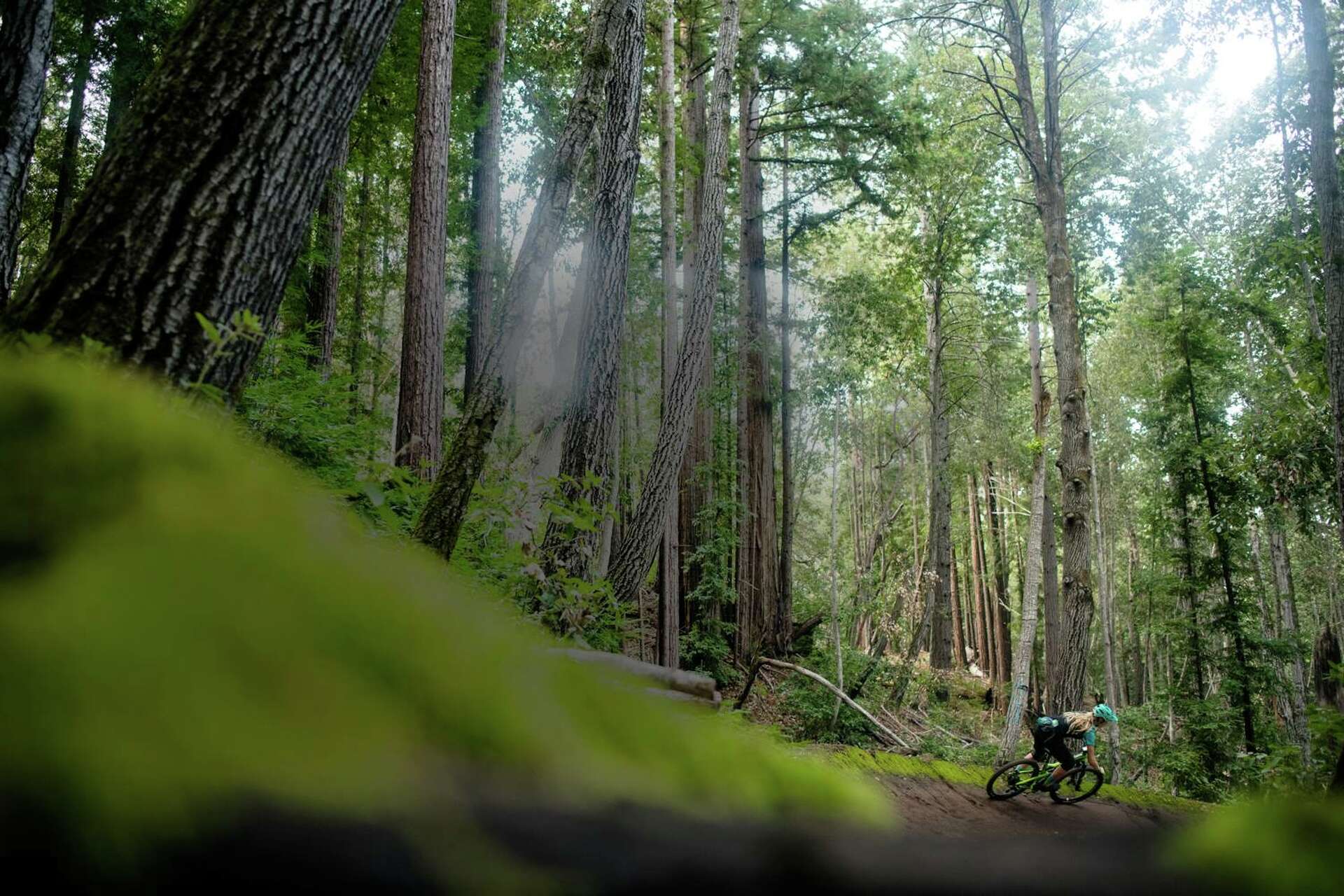 Best places to go mountain biking in the Bay Area