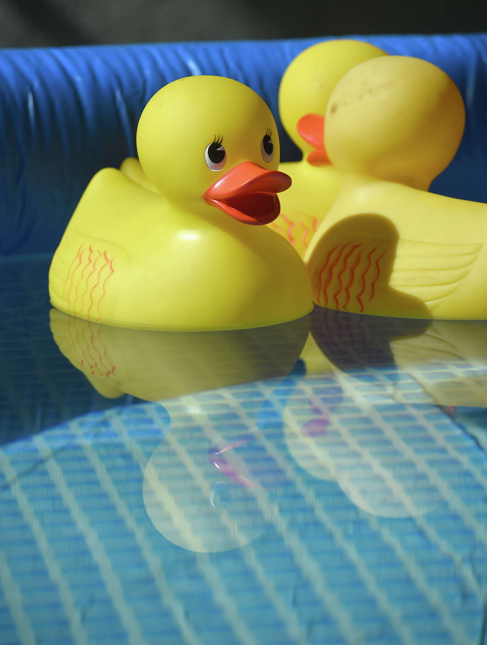 Stew Leonard's launches swim school; 'this is a dream' for family