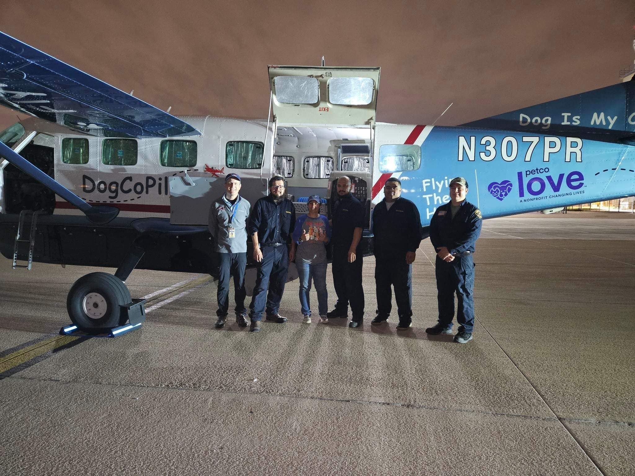 Laredo shelter, Dog Is My CoPilot partner to save cats and dogs