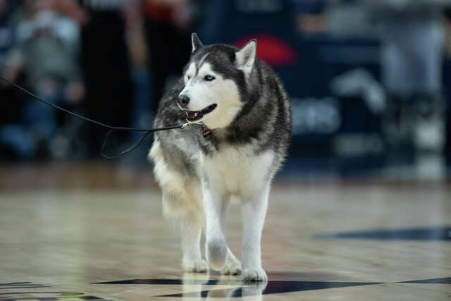 UConn's Jonathan XV Husky taking over as top mascot