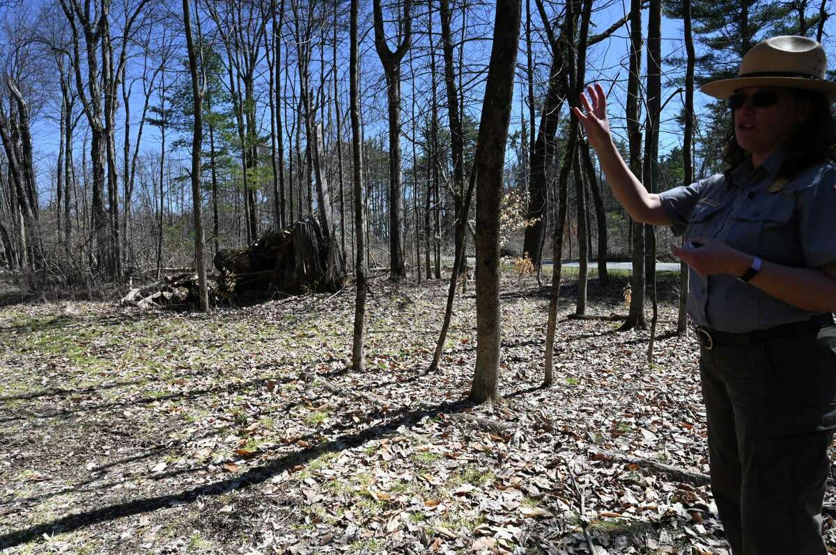 Deer threaten Saratoga and Roosevelt-Vanderbilt historic sites