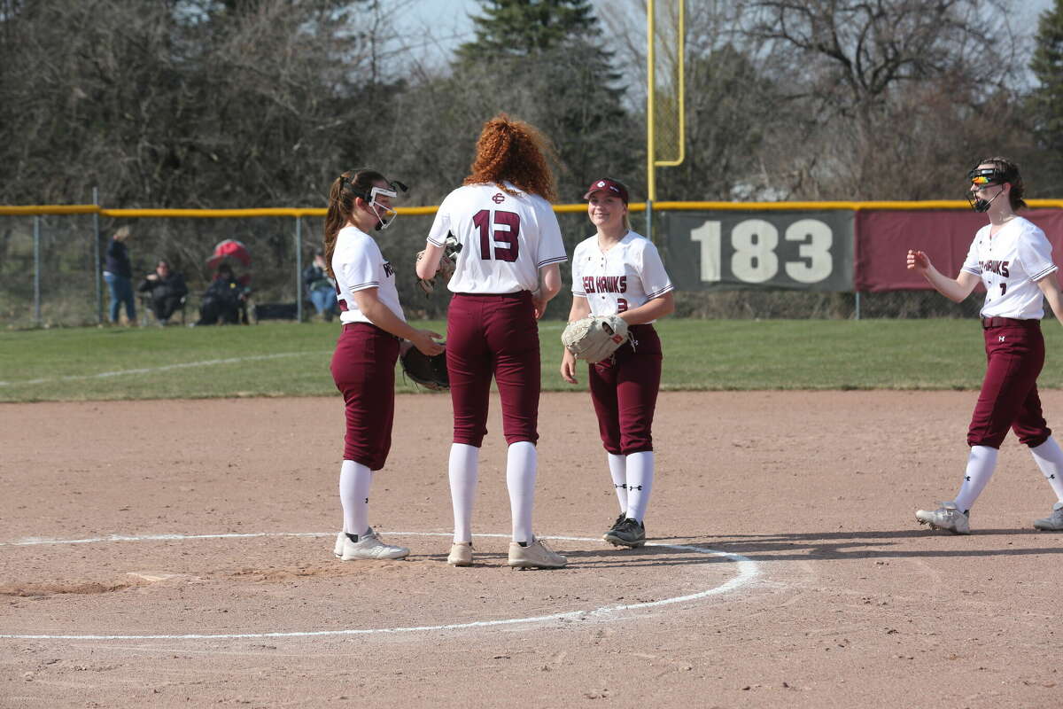 Cass City's Shelby Ignash throws perfect game April 10