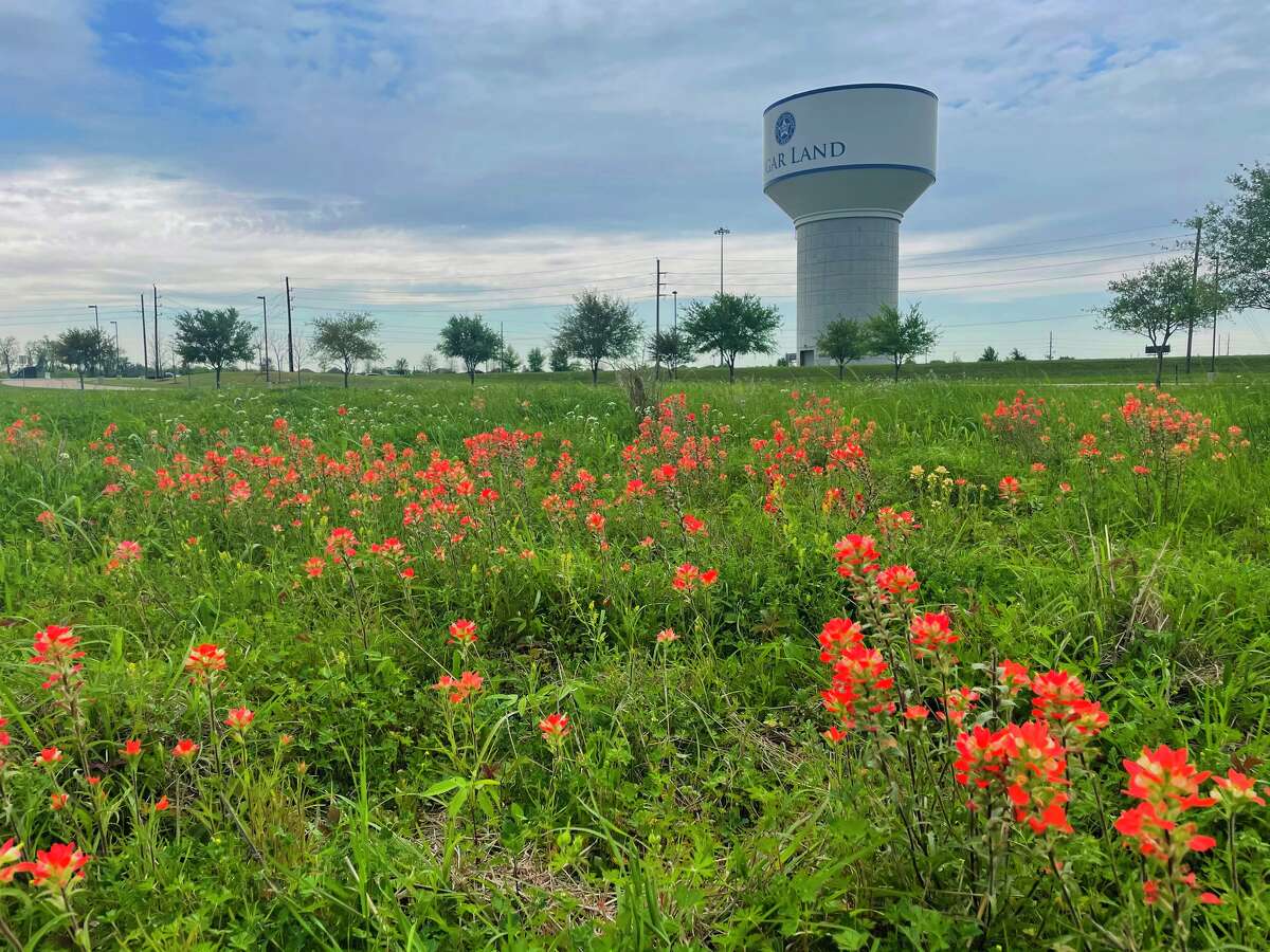 This Sugar Land park is full of bluebonnets