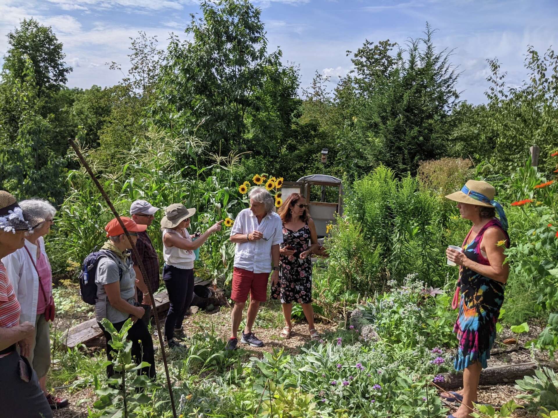 How pollinator pathways protect birds, bees and insects