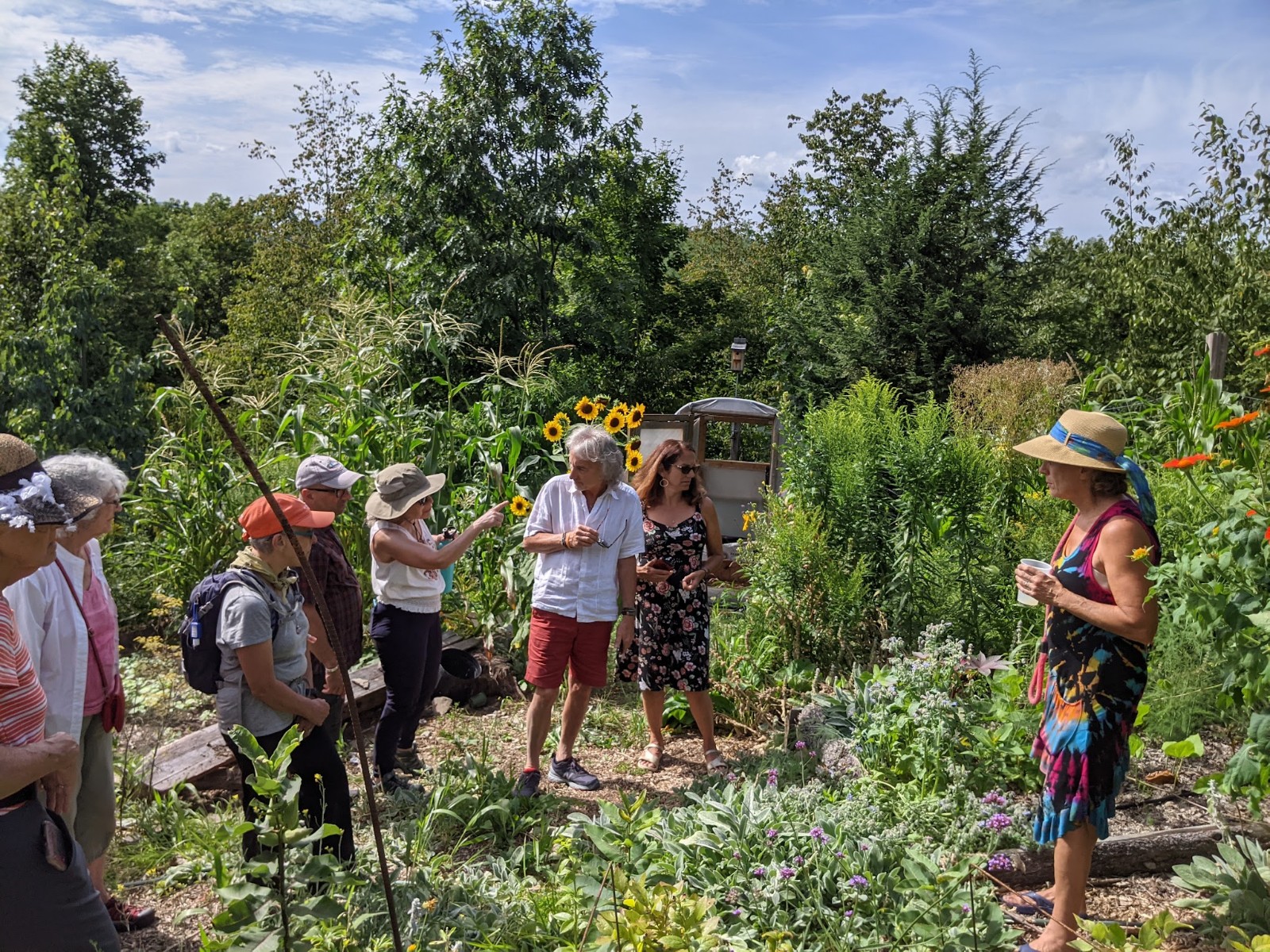 How pollinator pathways protect birds, bees and insects