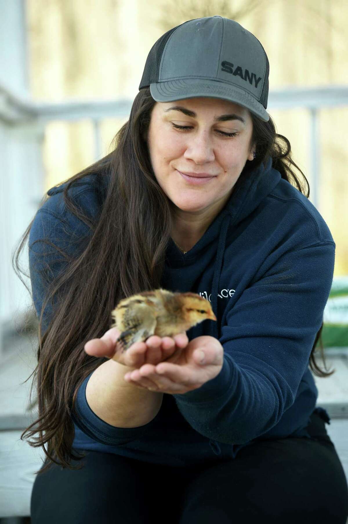 CT residents flock to backyard chickens for more sustainable eggs