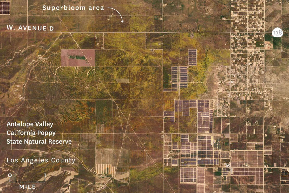 Satellite images show California’s huge super blooms