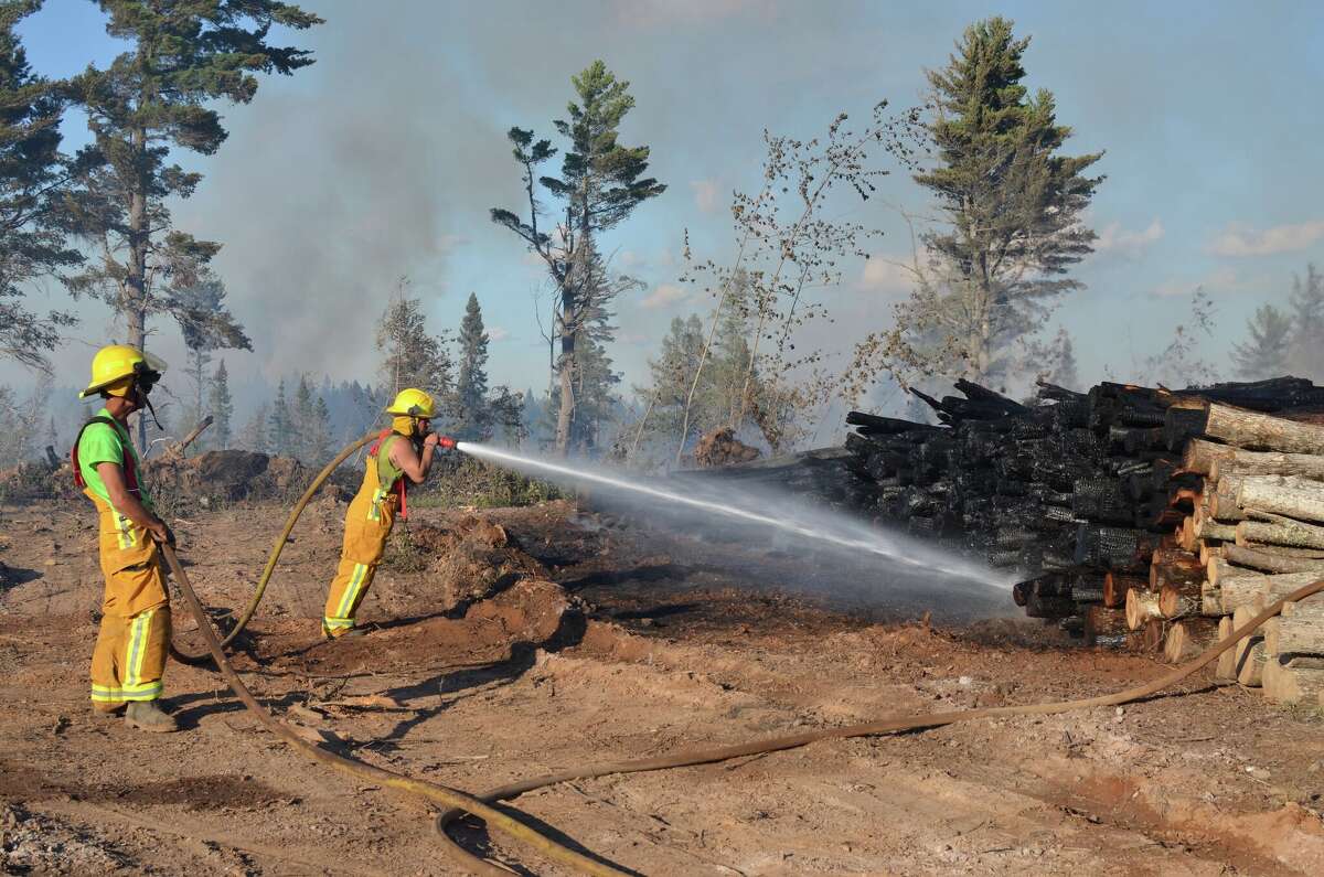 Red flag warnings for fire danger cover Michigan's Lower Peninsula