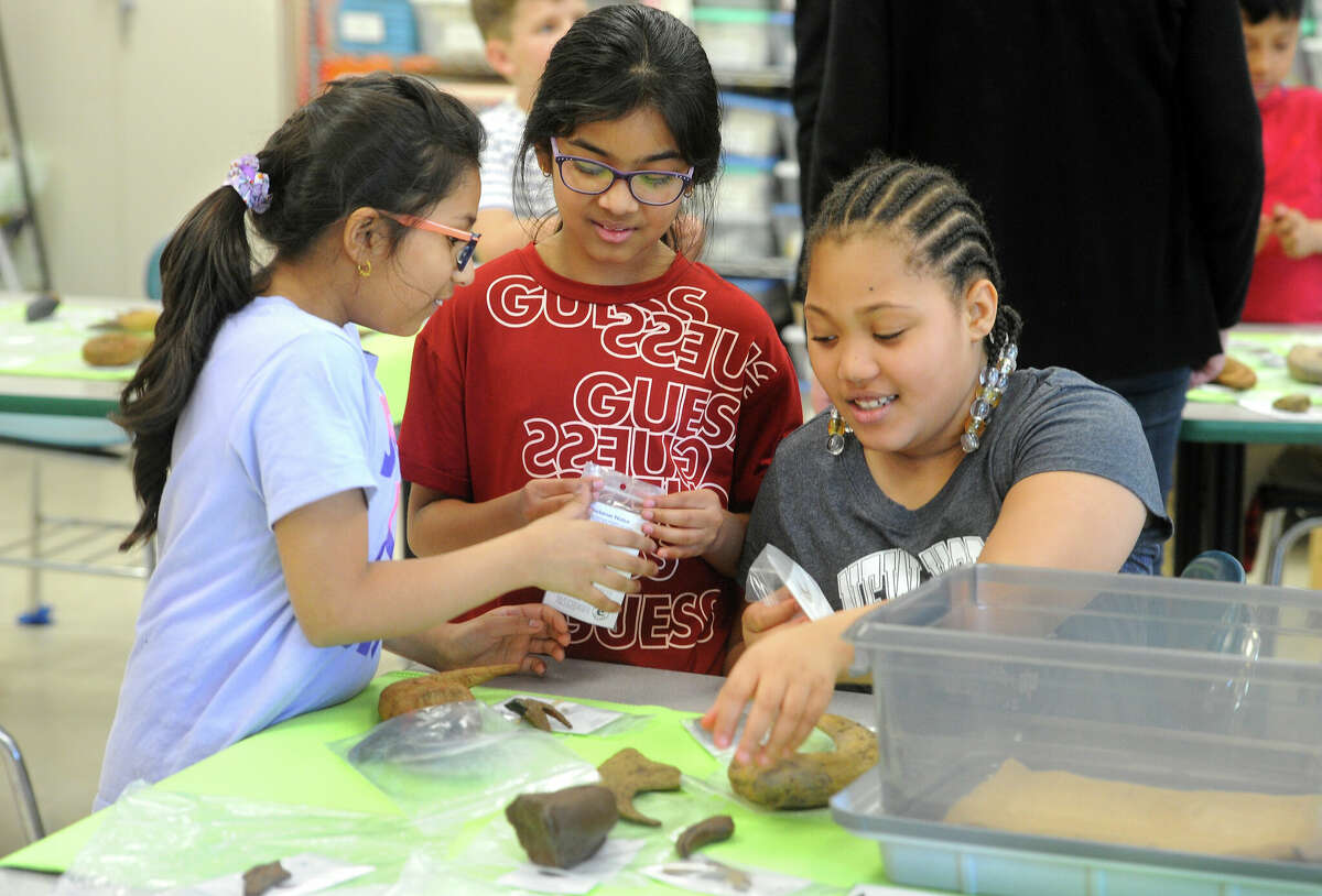 In Photos: Stamford third-graders dig into paleontology