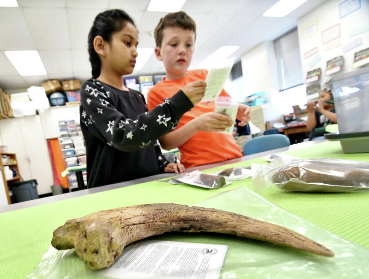 In Photos: Stamford third-graders dig into paleontology