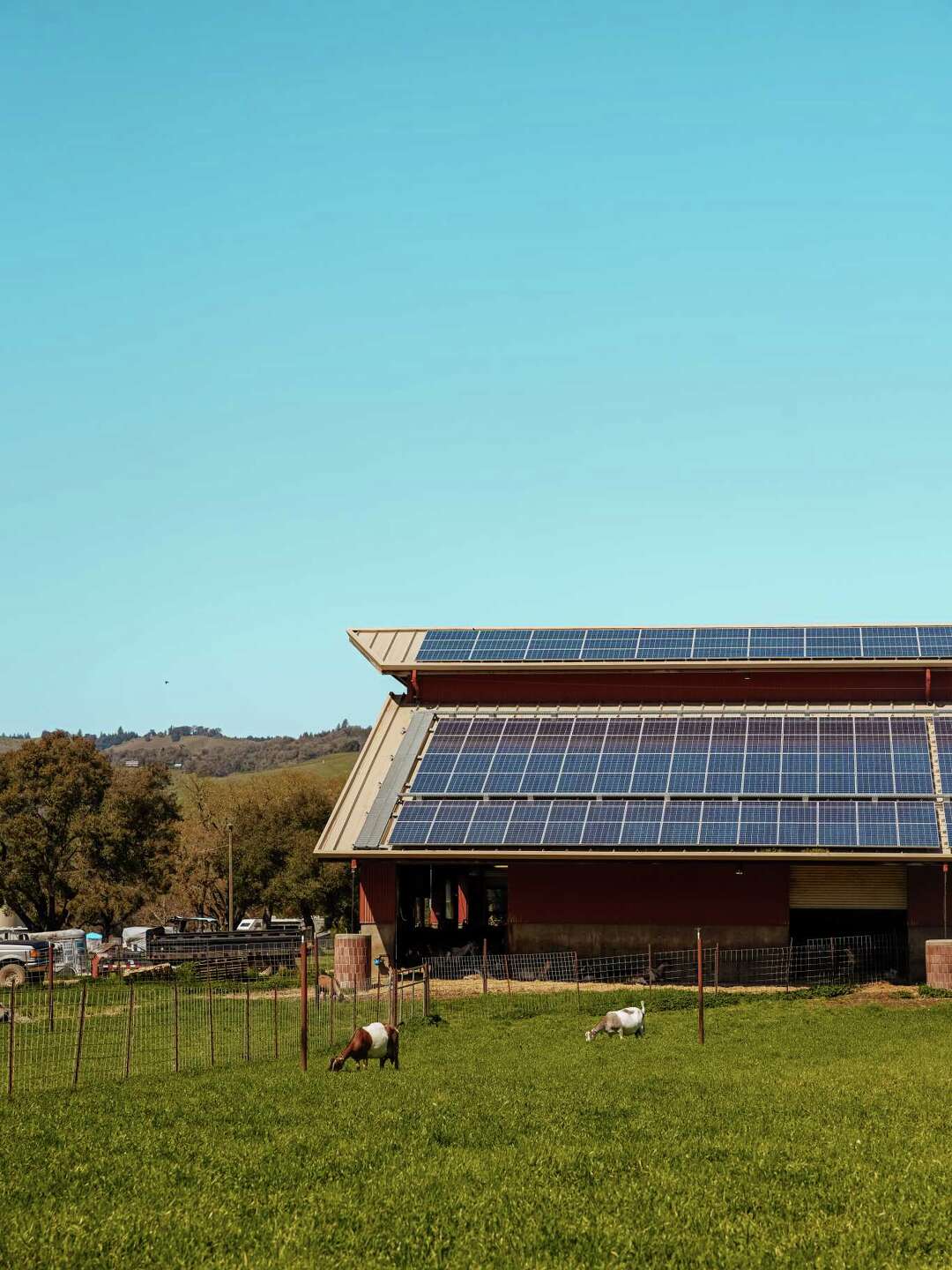 Pennyroyal Farm in Anderson Valley pairs goat cheese and wine