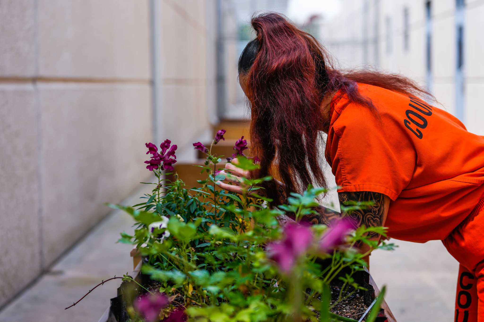 Harris County allocates $4.7 million for incarcerated women's reentry