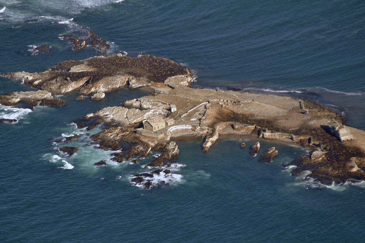 The Bay Area island where animals have taken over a two-story home