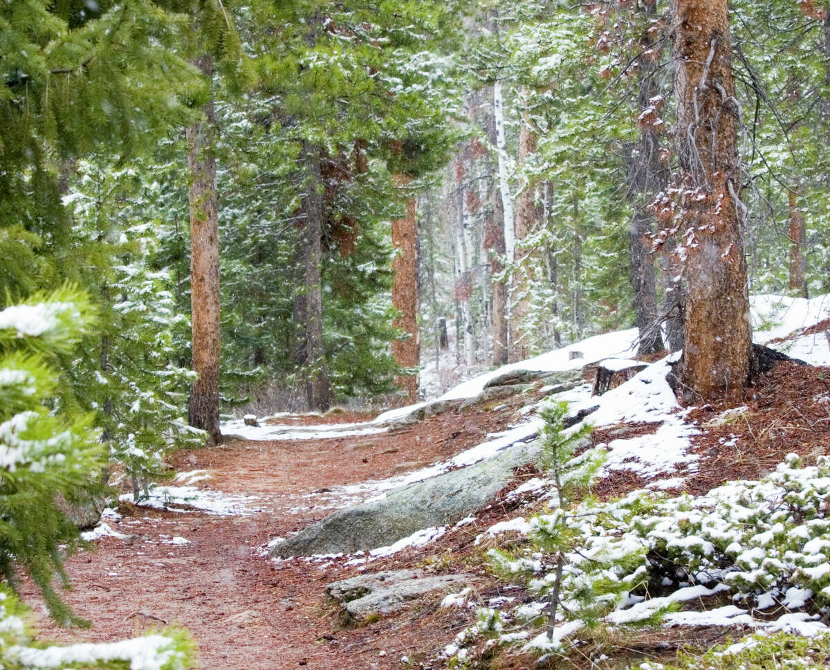 The best 8 hikes near Denver