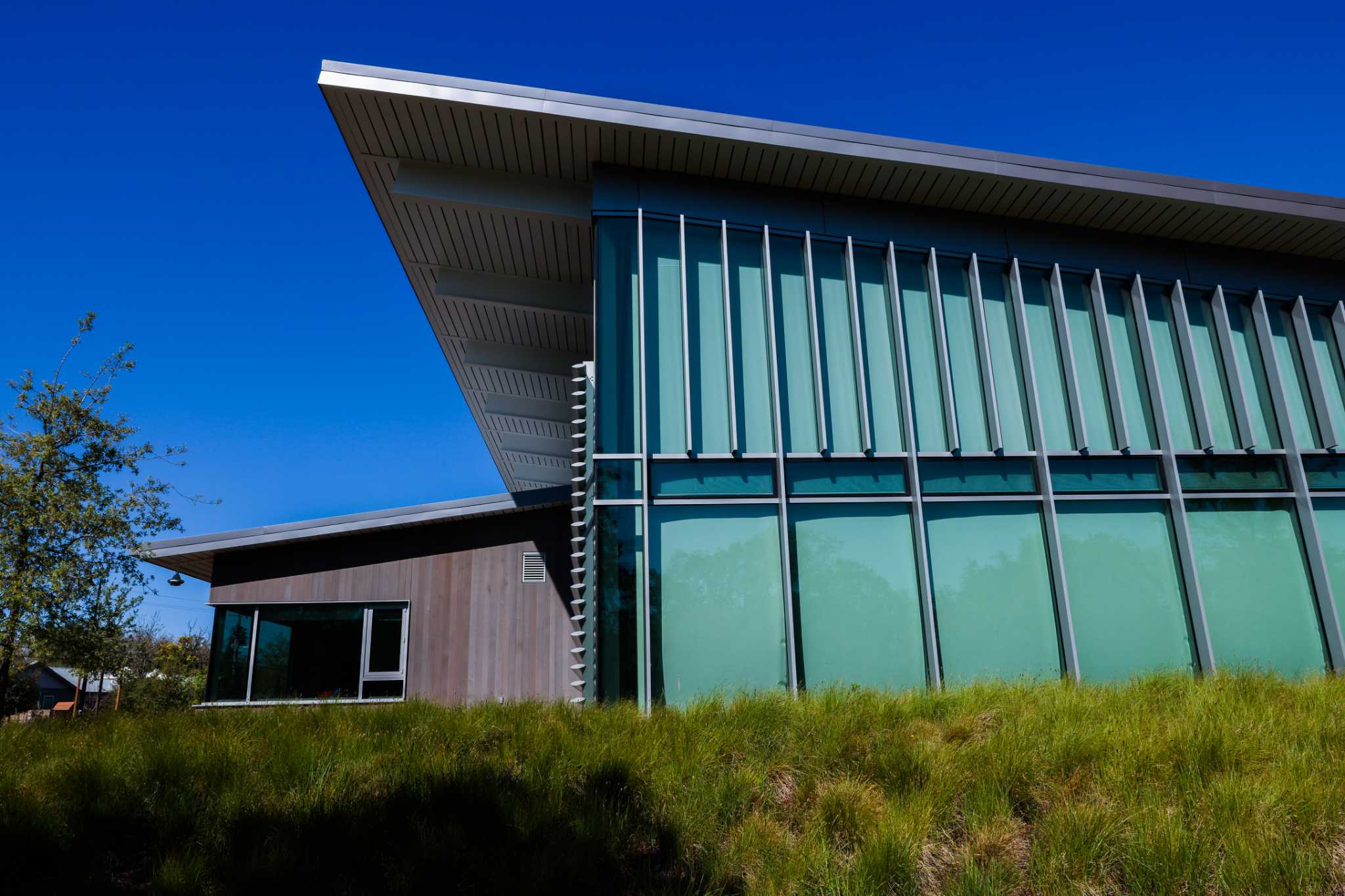 Bay Area libraries offer glimpse of what America should be