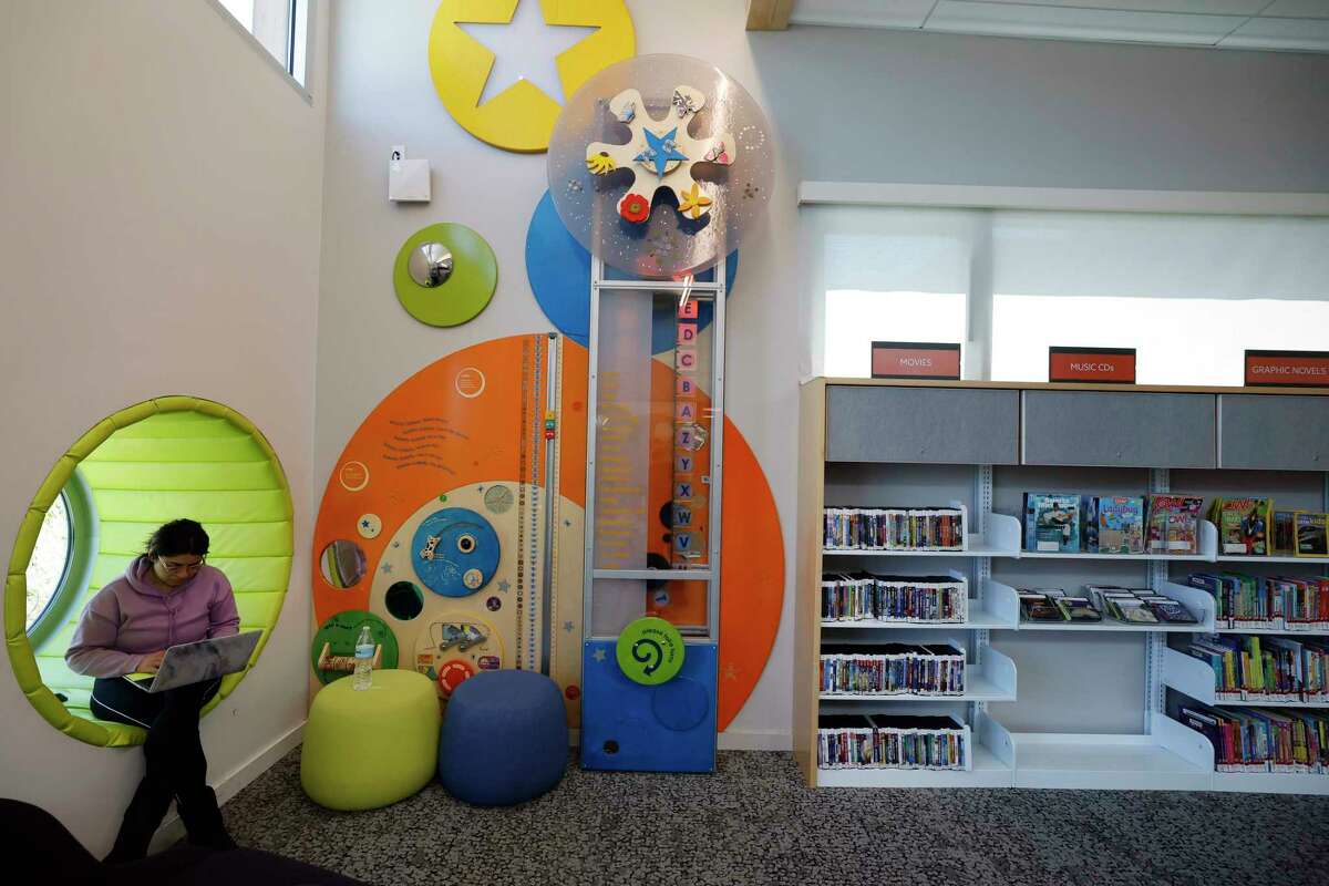 Bay Area libraries offer glimpse of what America should be