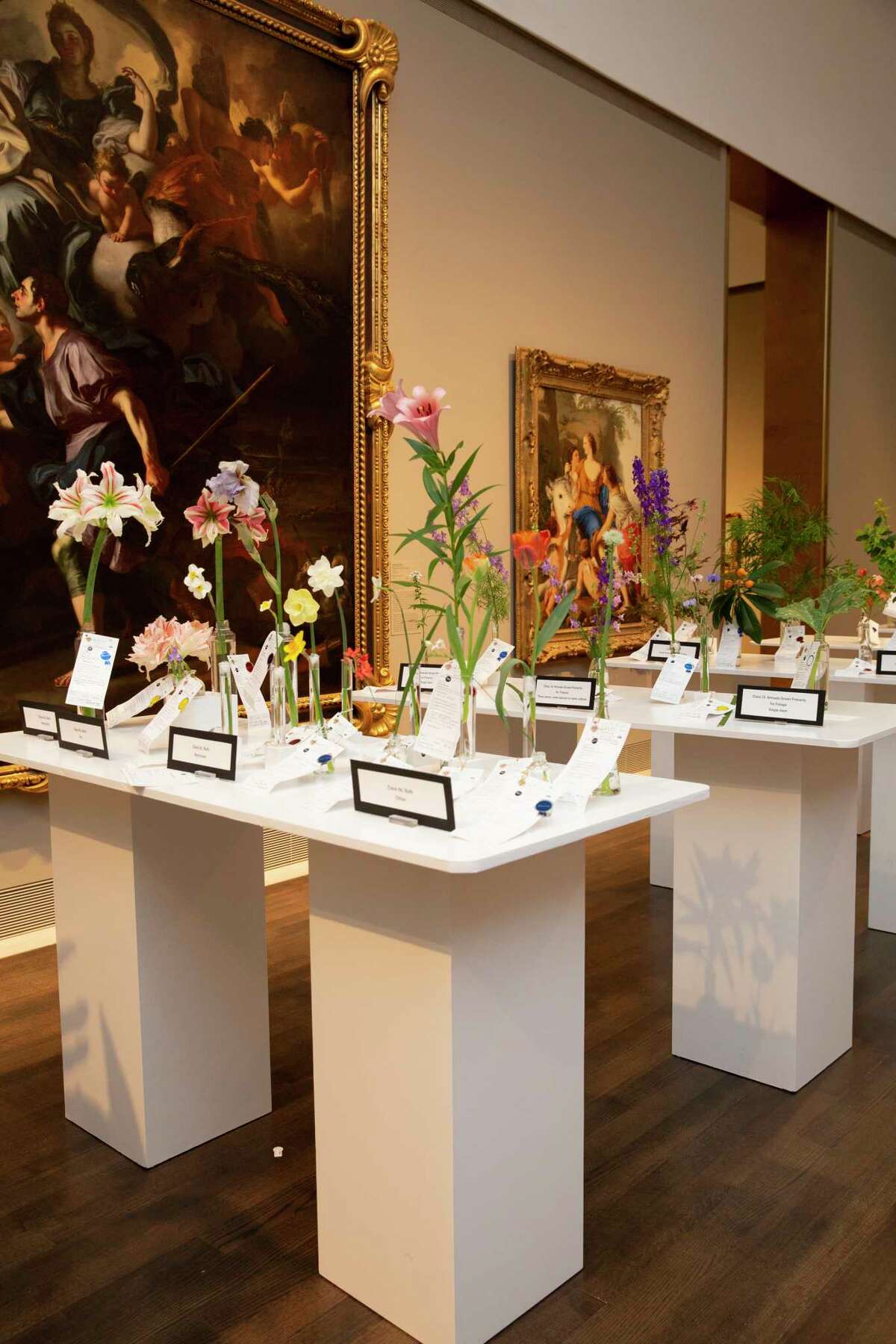 Houston Museum of Fine Arts decked in flowers, plants for Florescence