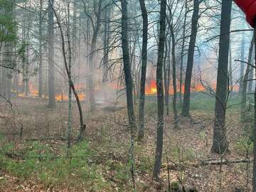 CT DEEP: Forest fire danger level high, some burn permits not valid