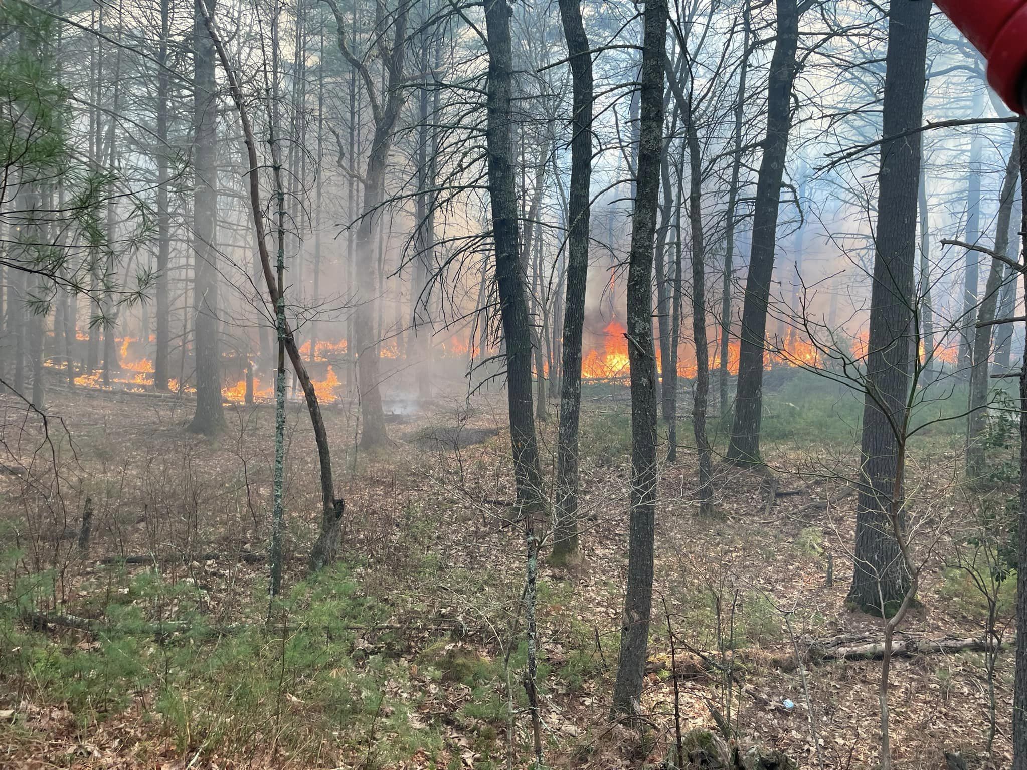 Fire weather watch issued for CT this week. Here's what it means.