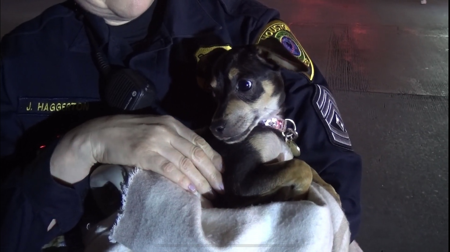 3 people, dog injured after collision in southwest Houston