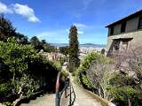 Lyon Street Steps, a SF hidden gem worth climbing