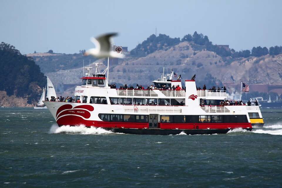 Fun and unique San Francisco tours for the whole family